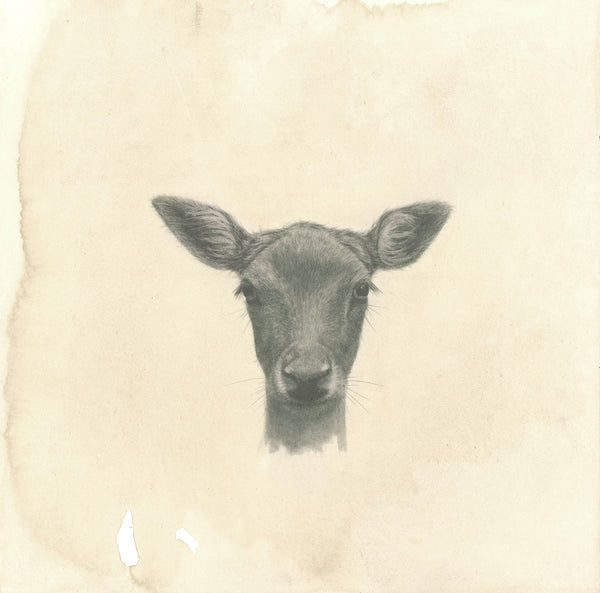 Peace – Meagan Donegan Limited Editions